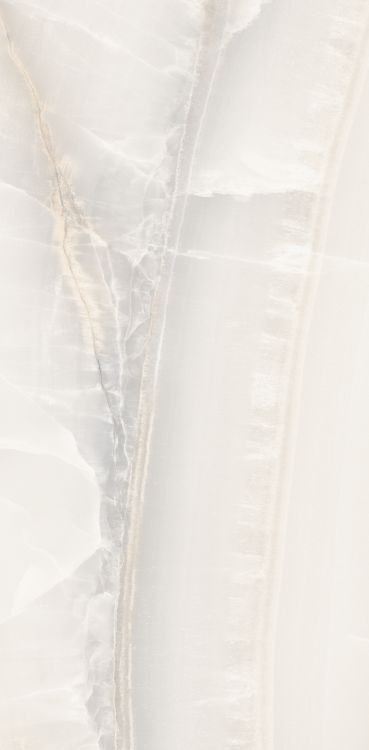 Akoya White Polished 12 x 24