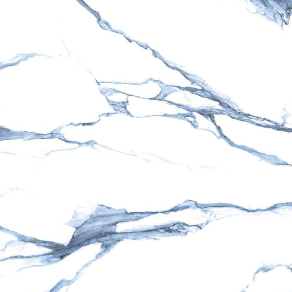 Calacatta Blue Matte 48 x 48